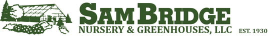 Perennials – Sam Bridge at Home