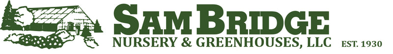 Perennials – Sam Bridge at Home